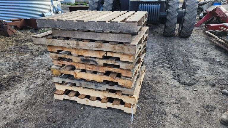 Stack of 10 Pallets, Buying All One Money - Fragodt Auction and Real ...