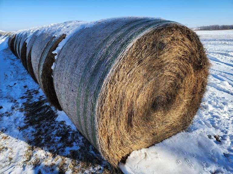 (38) Bales of Wild Grass Hay, Put Up Dry, New Wrapped, 5x6 Bales, Baled ...