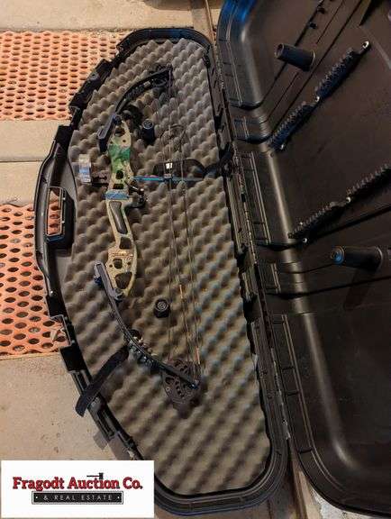 Alpine Micro Compound Bow in Hard Plastic Case - Fragodt Auction and ...