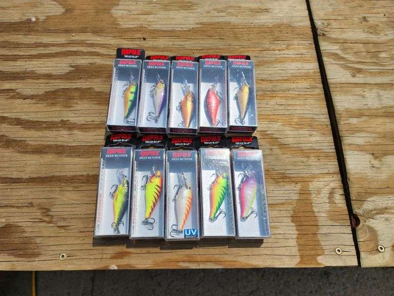 (10) Rapala SR-5 Shad Raps, All Different Colors - Fragodt Auction and ...