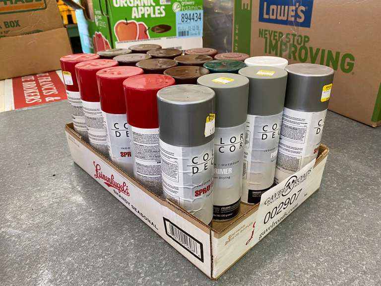 Lot of Color Decor Spray Paint - Gavel Roads Online Auctions