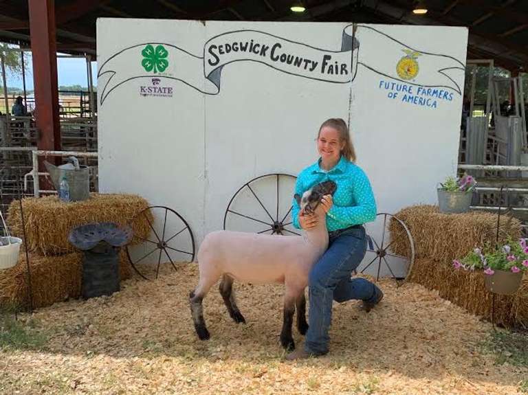 Katrina Turner SHEEP // BLUE - Gavel Roads Online Auctions