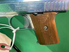 Raven Model P-25 .25 Auto Pistol - Gavel Roads Online Auctions