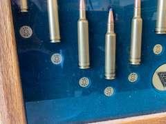 Tatonka Cartridge Co. Framed Weatherby Ammunition Display Case - Gavel ...