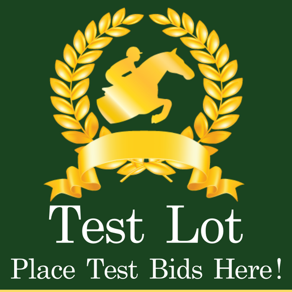 TEST LOT - Goresbridge Horse Sales