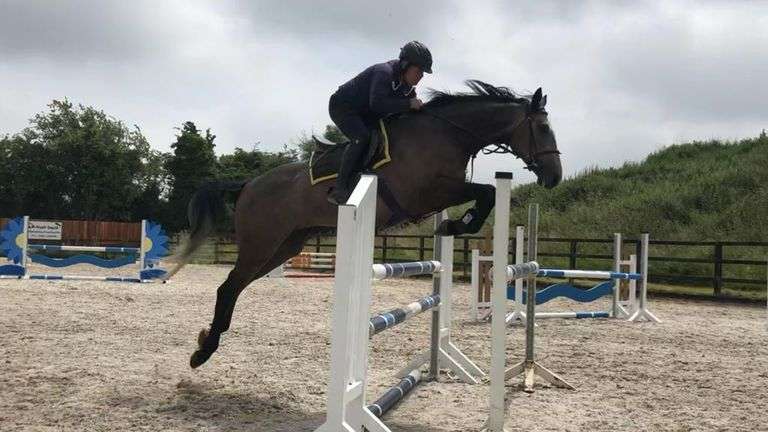 CLOUD MASTER - Goresbridge Horse Sales