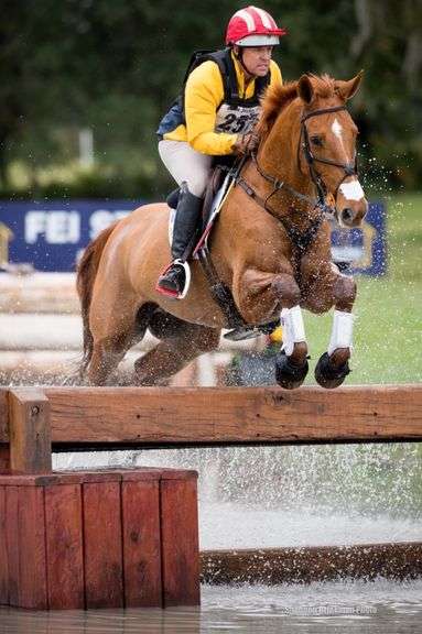 July 2nd, 3rd & 4th Sport Horse Performance Sale (Day 2) - Goresbridge ...