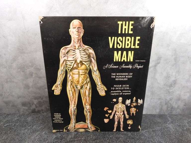 Vintage Renwal "The Visible Man" A Science Assembly Project in Box ...