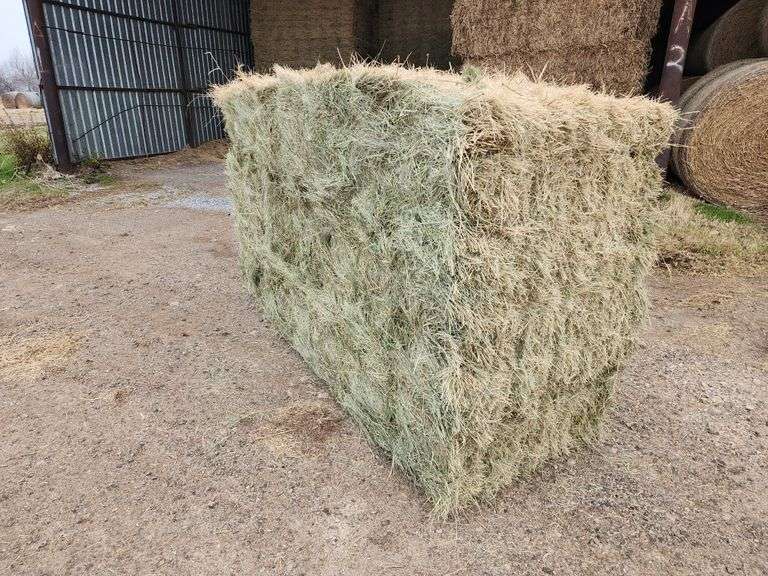 Bermuda Small Square Bales - Great Plains Auction