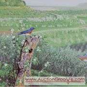 103. Orchard in Springtime Print. Signed By Buzz Balzer. 29/250. 32 x ...