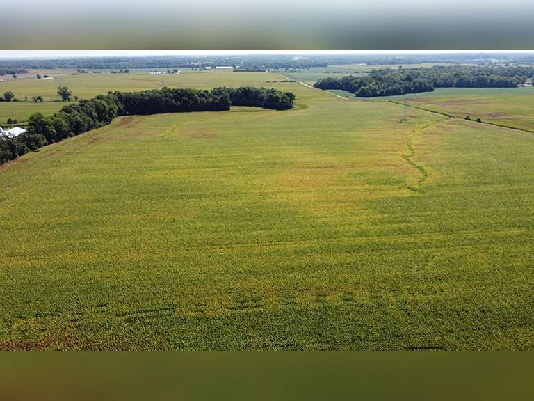 Gilley Brothers Farms LLC, Gilley Brothers Farms 1 LLC, PKG Farm LLC ...