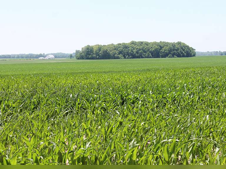 Jerry Pendleton Farm - Halderman Real Estate Services