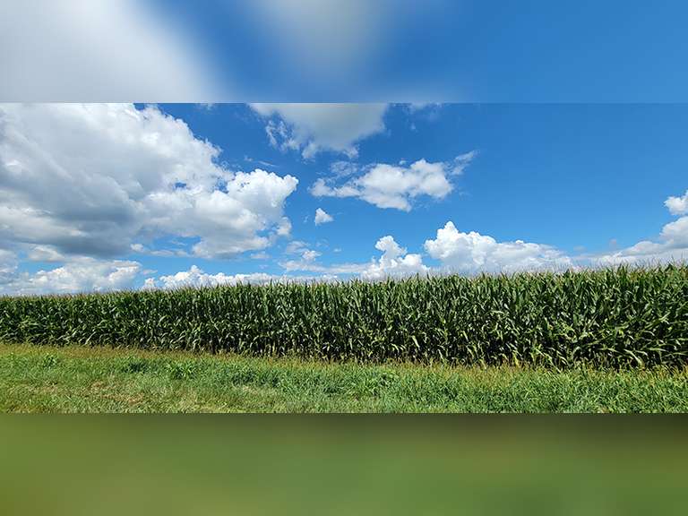 McNamara Farm - Halderman Real Estate Services