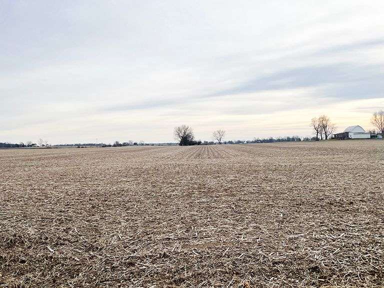 Mary Ann Essig and Sally Secor - Halderman Real Estate Services