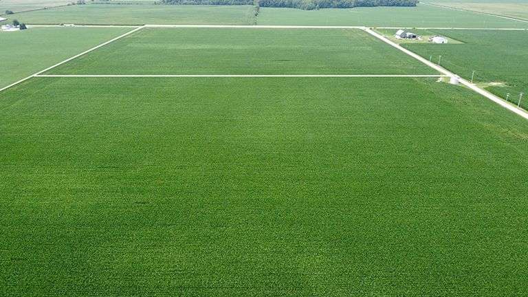 Larry McQuern Trust - Halderman Real Estate Services