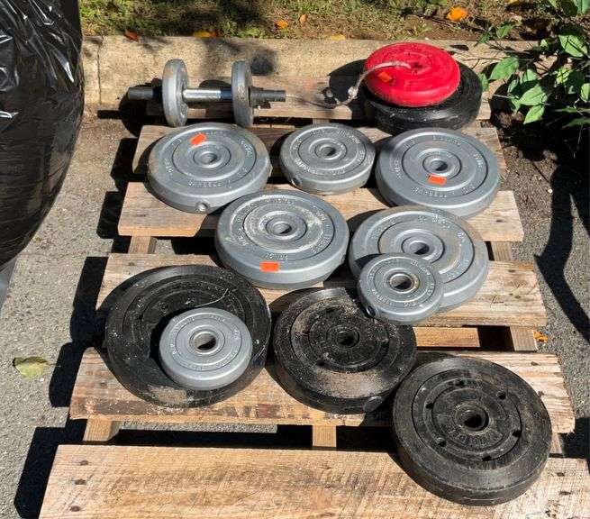 Weights, poly concrete filled types on pallet - Hash Auctions