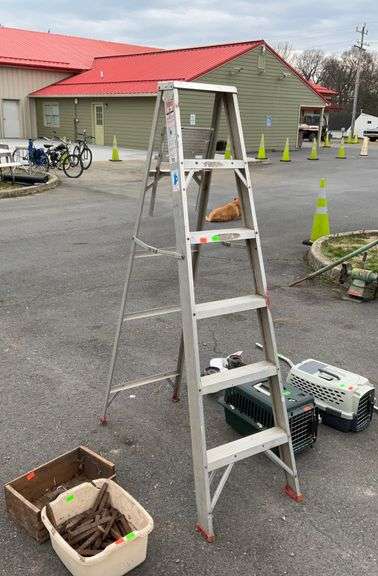 Werner 6 foot aluminum step ladder - Hash Auctions