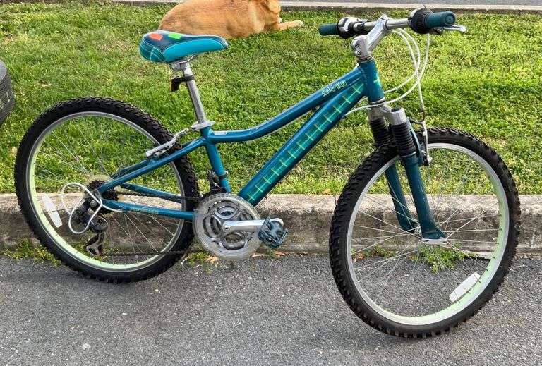 Raven Bike, 24” tires, in ready to ride condition - Hash Auctions