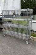 ULINE security cart w/grid cage, 71”L x 24”W x 70”H - Hash Auctions