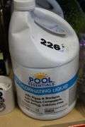 POOL ESSENTIALS CHLORINATING LIQUID 1 GALLON - Dallas Online Auction ...