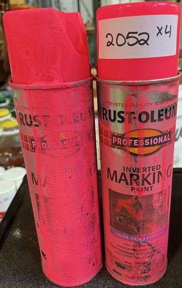 Rust-Oleum 15-oz Fluorescent Pink Flat Spray Paint - Dallas Online ...