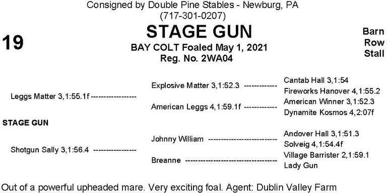 STAGE GUN - Mt Hope Auction