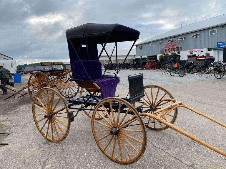 Doctors buggy - Mt Hope Auction