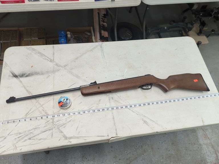 GAMO HUNTER 220 .177-CAL PELLET RIFLE & PELLETS - Isabell Auction