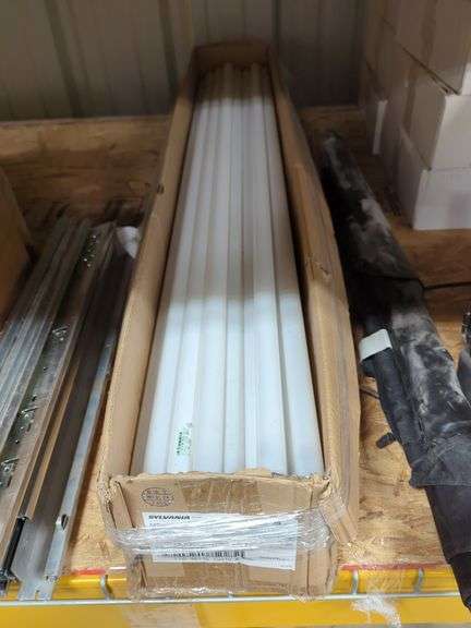 BOX OF LED13T8 48" BI-PIN LIGHT BULBS - Isabell Auction
