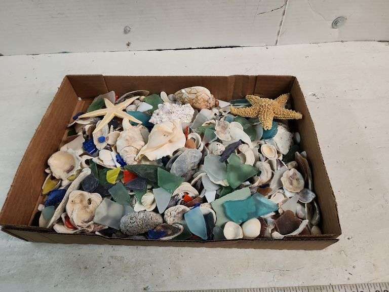 ASSORTED SHELLS & COLORED GLASS - Isabell Auction