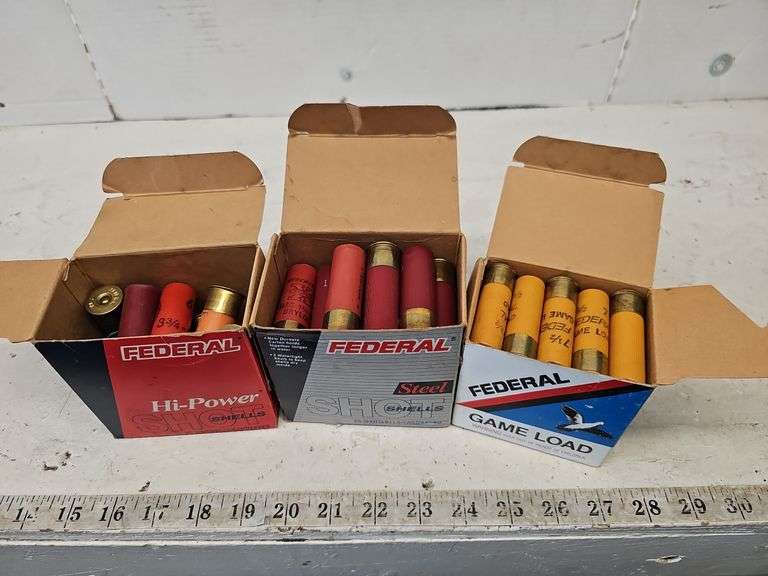 ASSORTED 12 & 20 GAUGE SHELLS - Isabell Auction