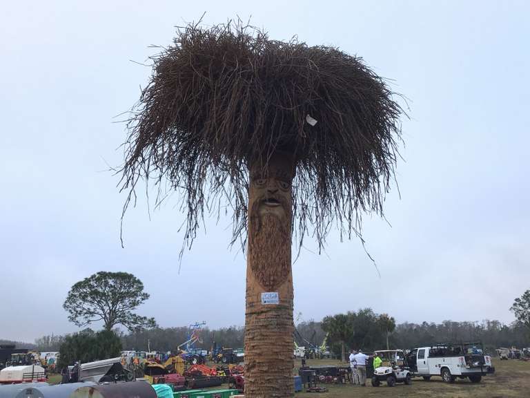 PALM TREE MAN HANDCRAFTED ORIGINAL ART WORK - Jeff Martin Auctioneers, Inc.