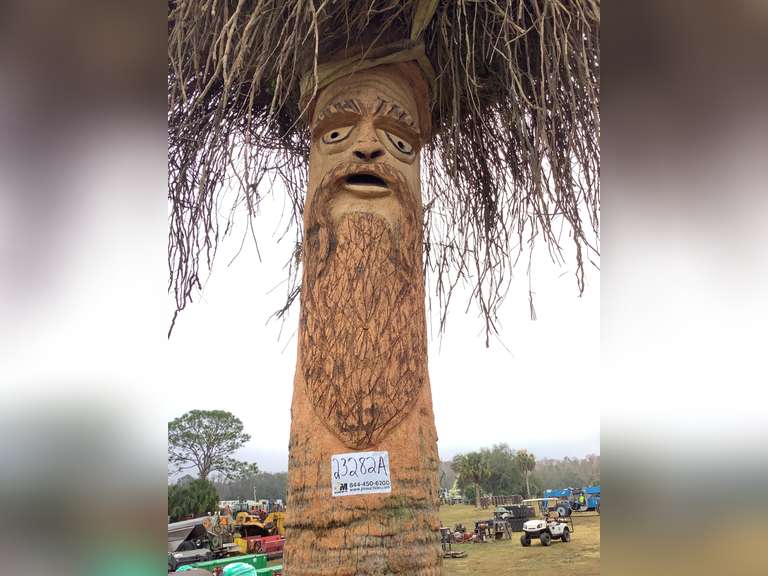 PALM TREE MAN HANDCRAFTED ORIGINAL ART WORK - Jeff Martin Auctioneers, Inc.