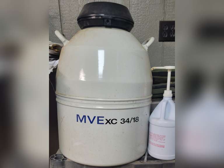 MVE XC 34/18 Semen Tank & Kit - Kreeger & Associates