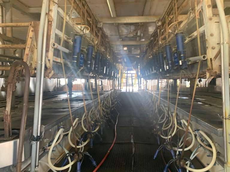 Boumatic Double 12 Rapid Exit Parlor | Turner Stalls | Stalls Control ...