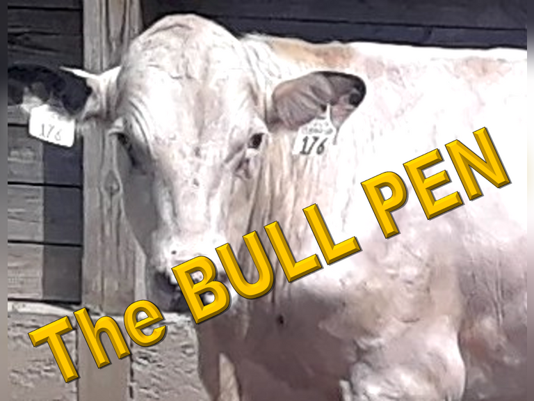 The Bull Pen - Kreeger & Associates