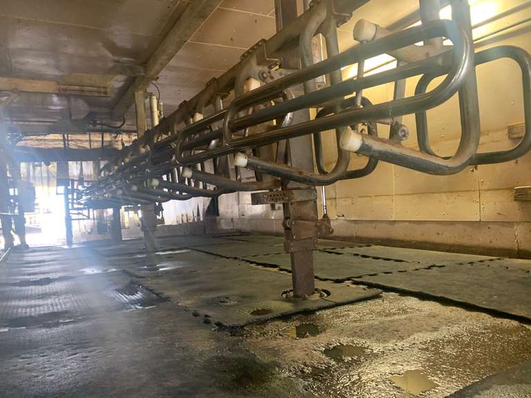 Boumatic Double 12 Rapid Exit Parlor | Turner Stalls | Stalls Control ...