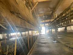 Boumatic Double 12 Rapid Exit Parlor | Turner Stalls | Stalls Control ...