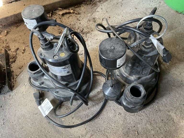 Two Sump pumps - Legacy Auction Company