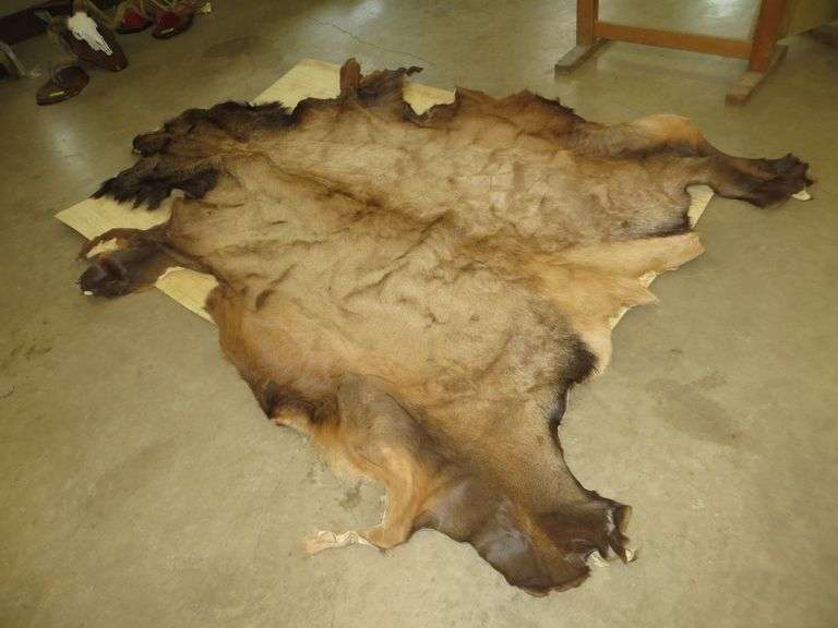 Full Tanned African Hide - Lambrecht Auction, Inc.
