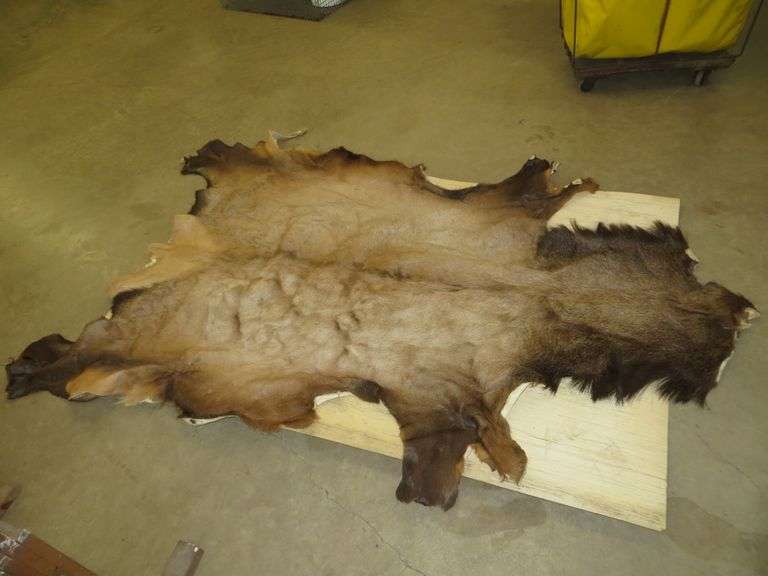 Full Tanned African Hide - Lambrecht Auction, Inc.