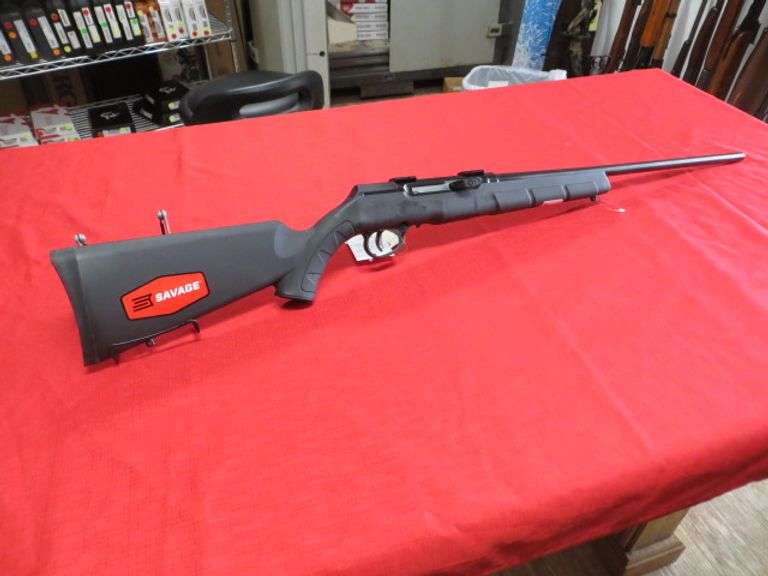 Savage - A17 - .17 HMR -Semi Automatic - Lambrecht Auction, Inc.