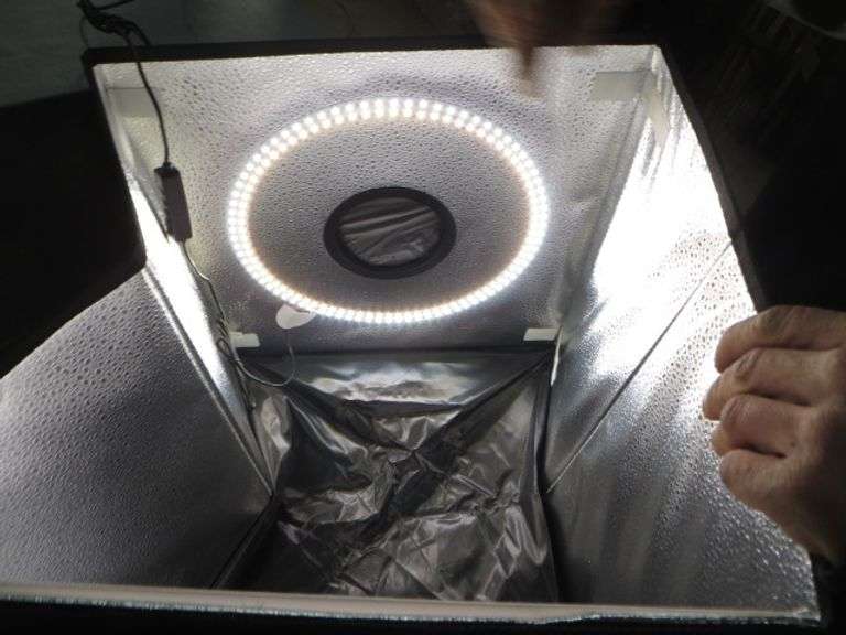 Foldable LED Ring Light Studio Box - Lambrecht Auction, Inc.