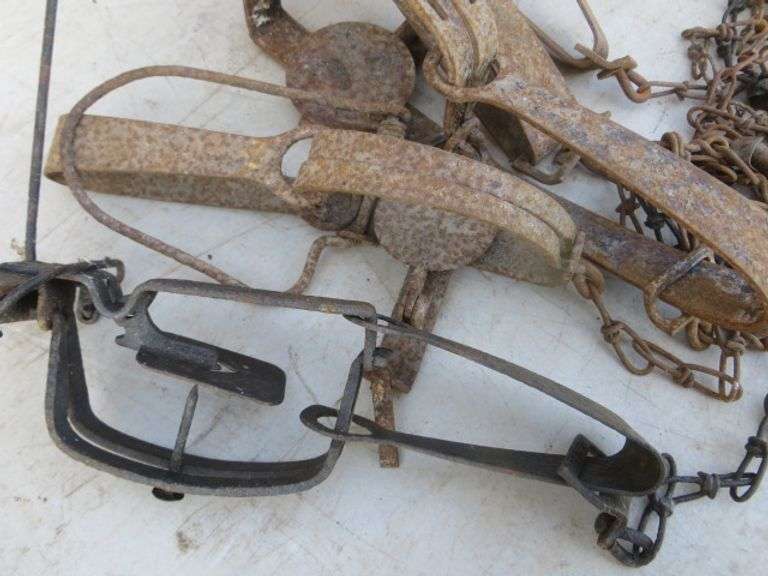 Traps - Seven 3" Double Long Spring Mostly Jumps - Lambrecht Auction, Inc.