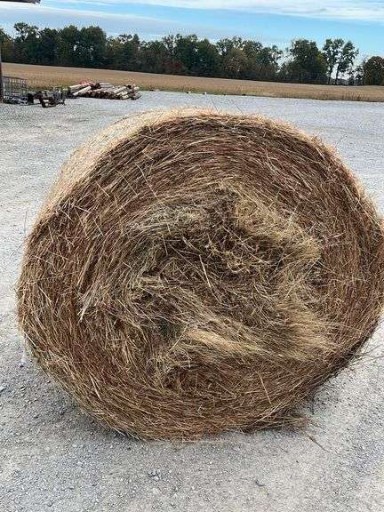 (10) Grass Round Bales - Langham Auctioneers