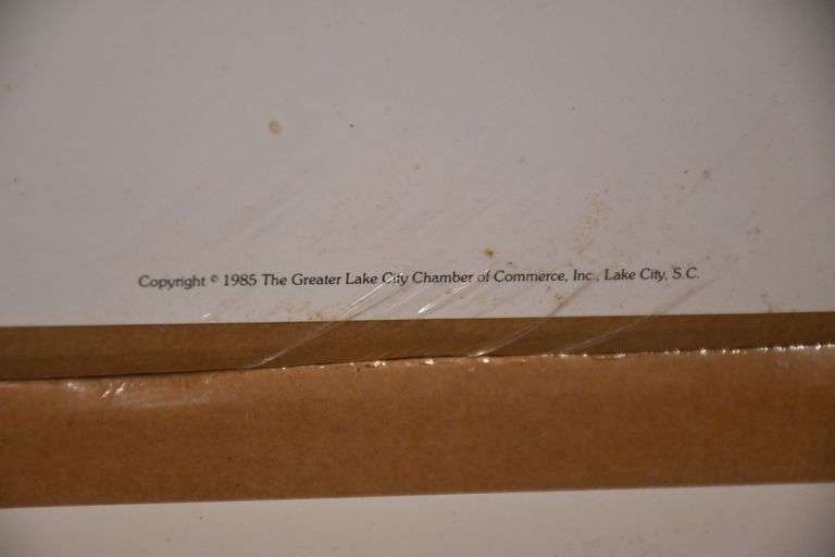 Two signed limited edition unframed Carolina Tobacco prints by Donna ...