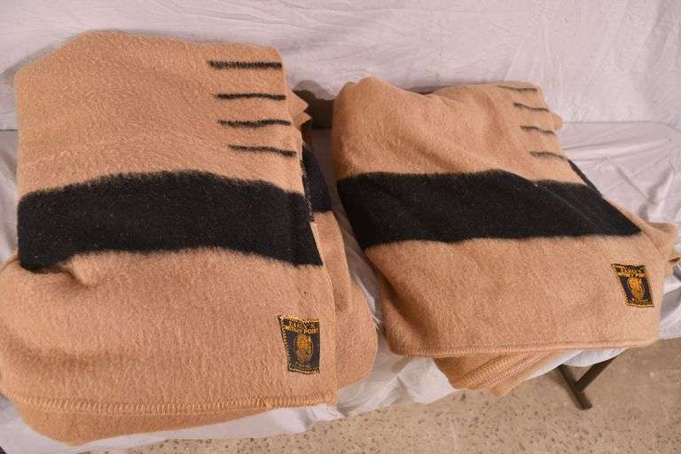 Pair of Early's Whitney Point blankets; 68-2364 - R.H. Lee & Co ...