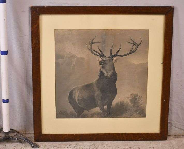 Framed engraving on an elk; 192-2464 - R.H. Lee & Co. Auctioneers