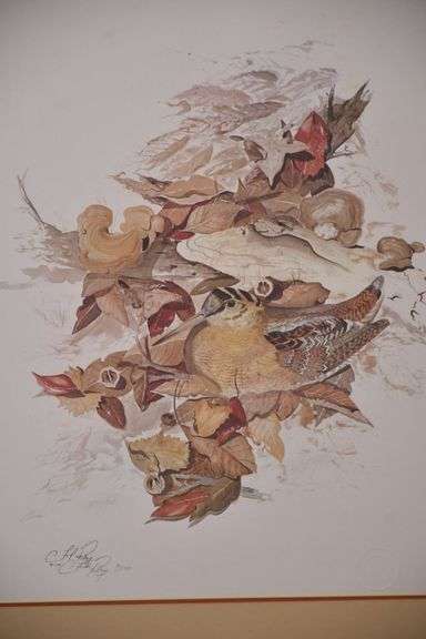 Large signed limited edition framed print of a woodcock by C. Ford ...