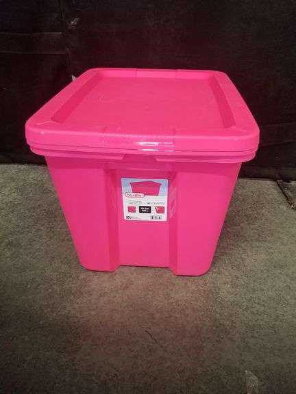 2 Sterilite 18gal Pink Totes - Lexington Online Auction